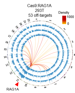 Cell Discovery：优化基因编辑和追踪DNA修复的新方法 - 生物通