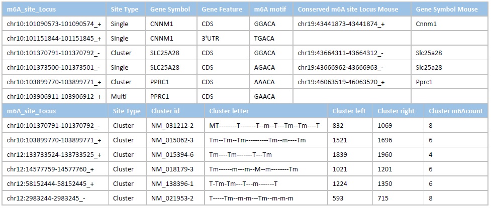 Arraystar m6A单碱基分辨率芯片 - 生物通