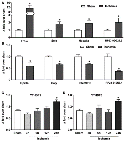 Arraystar表观转录组芯片应用案例 - 生物通