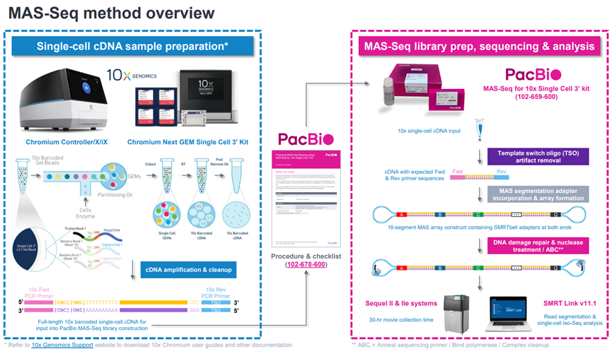 PacBio MAS-Seq兼容10x Genomics全长cDNA实现单细胞Iso-seq！ - 生物通