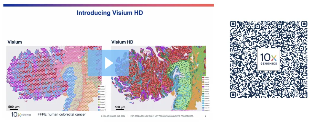 10x Genomics Visium HD精彩揭秘：开启高清空间生物学之旅 - 生物通