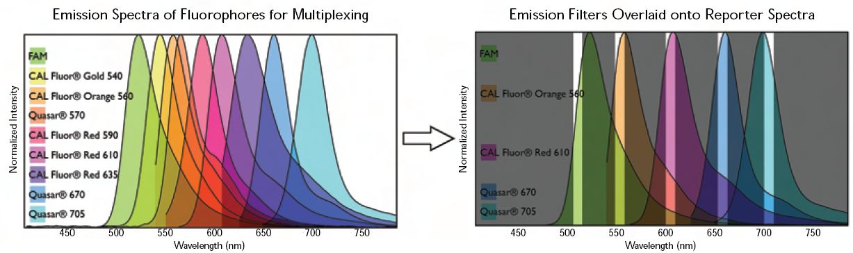 Black Hole Quencher®（BHQ）黑洞淬灭剂配合全波段荧光染料， 为qPCR/多重qPCR保驾护航 - 生物通