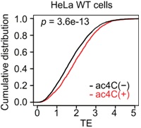 m6A正火，ac4C又至！详解Cell最新ac4C研究 - 生物通