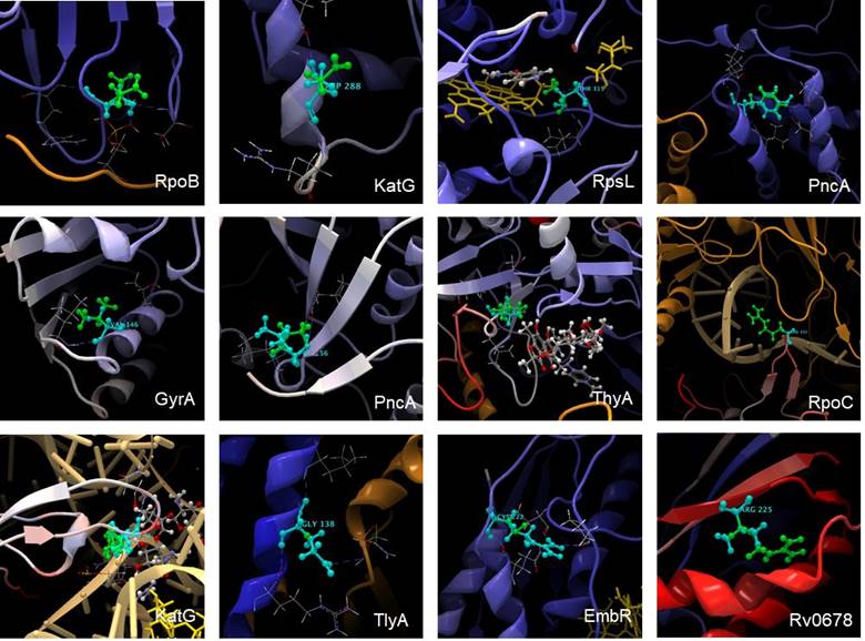 QIAGEN高通量测序解决方案助力新型冠状病毒研究 - 生物通
