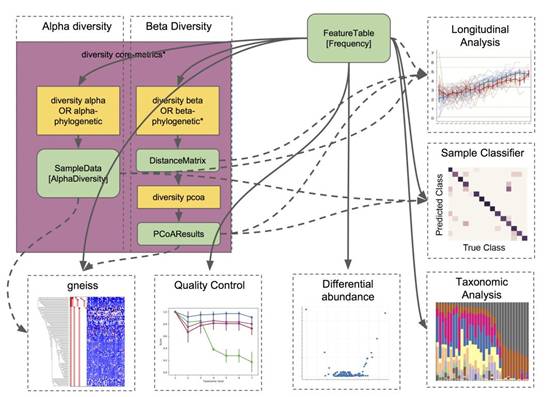 QIIME 2：微生物组大数据挖掘的终极神器！ - 生物通