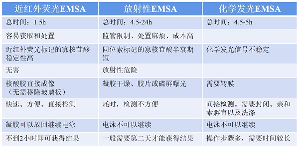 不一样的EMSA检测方法，您不想试一试？ - 生物通