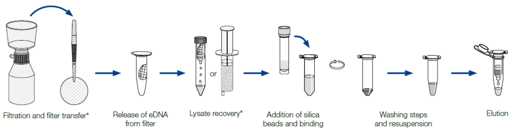 DNA知道，eDNA呢？ - 生物通