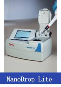 NanoDrop助您在生命科学界乘风破浪 - 生物通