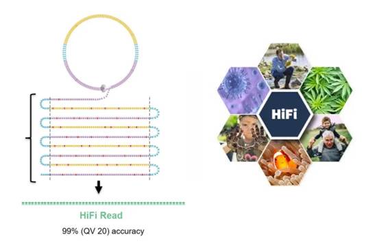 PacBio HiFi测序强势助力SARS-CoV-2新冠病毒的追踪和溯源 - 生物通