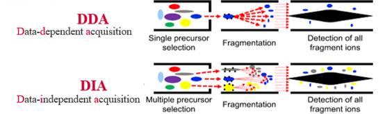 干货分享！一文读懂蛋白质组TMT、4D和DIA的区别 - 生物通