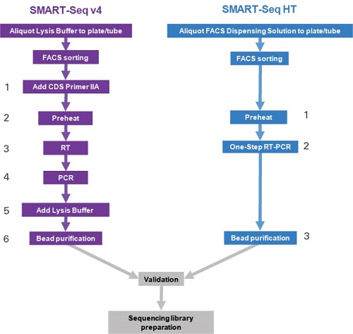 Nature丨揭秘SMART-Seq技术助攻：肿瘤细胞如何策反部分免疫细胞 - 生物通