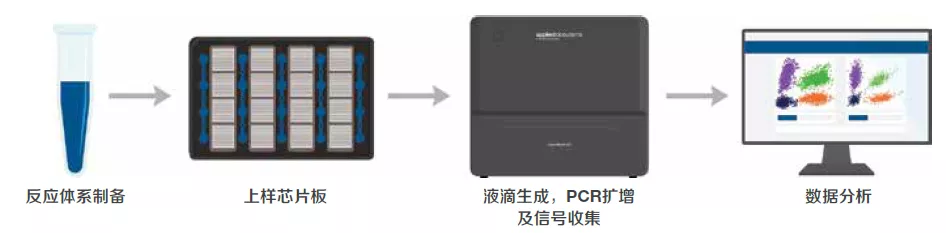 QuantStudio Absolute Q数字PCR系统重磅上市 - 生物通