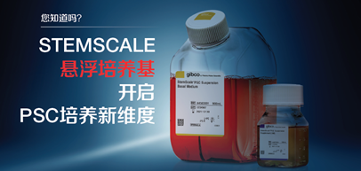 新品！Gibco StemScale 悬浮培养基，高效扩增5-10倍 - 生物通