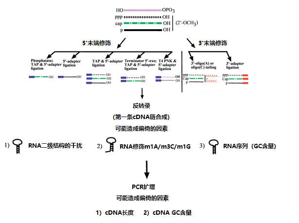 Arraystar Small RNA表达芯片 - 生物通